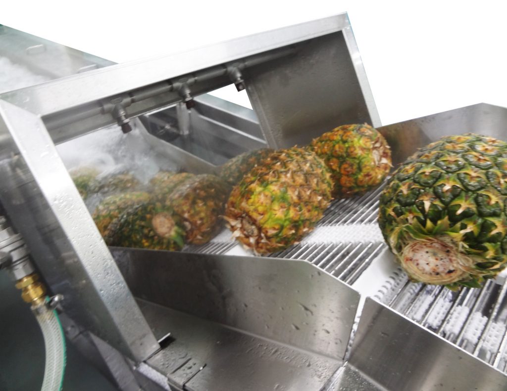 Food washing machine | Product Info | Tiger Kawashima Co.,Ltd.