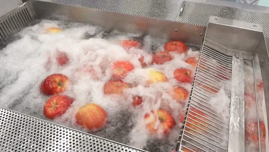 Food washing machine | Product Info | Tiger Kawashima Co.,Ltd.