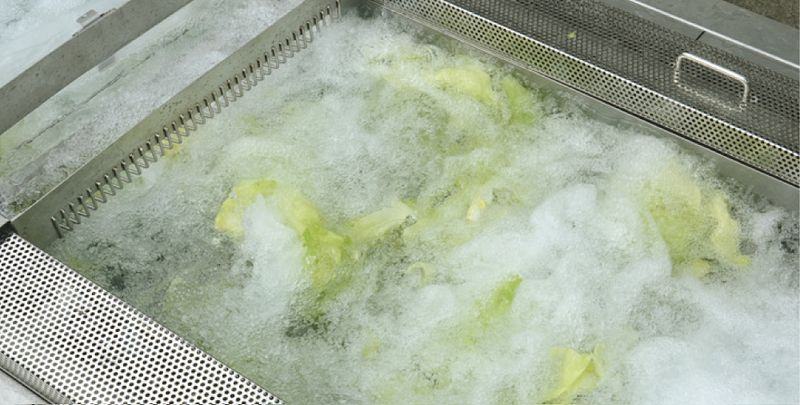 Food washing machine | Product Info | Tiger Kawashima Co.,Ltd.